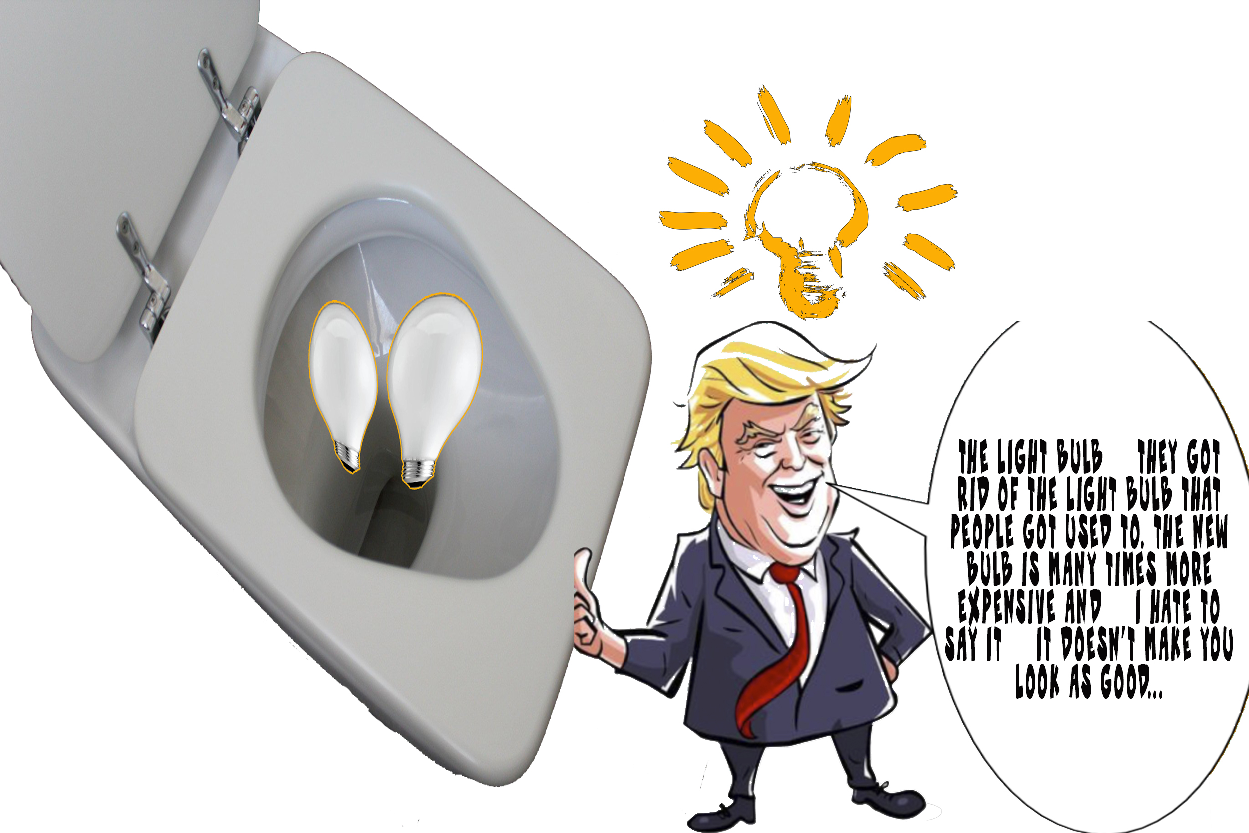 TRUMP NUMBER 1 PRIORITY: LIGHT BULBS AND TOILET FLUSHES… – Here's A Thing…